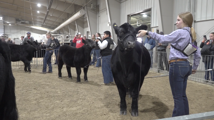 Northeast Livestock Judging Team raising travel funds with annual ...