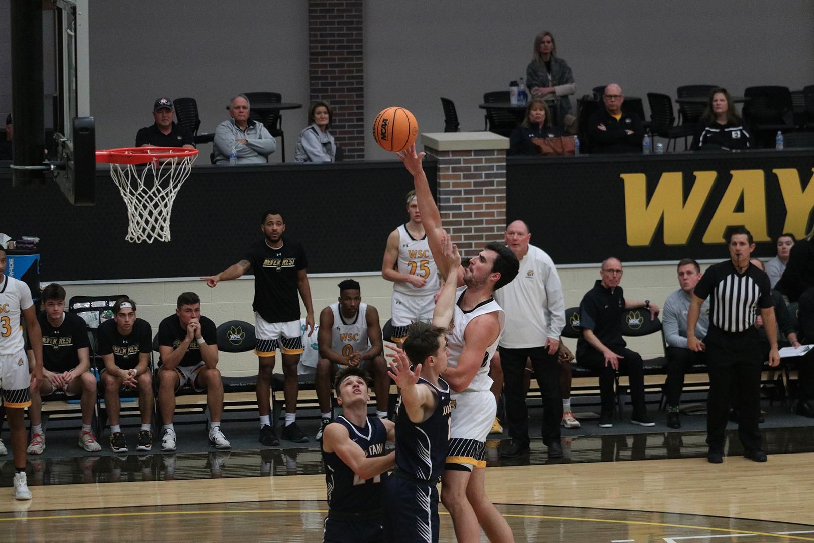 WSC men use free throws to slip past Augustana; Wildcat women see rally ...