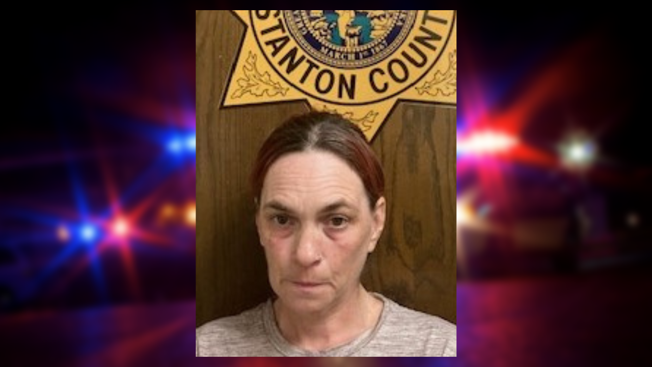 Norfolk woman arrested while reportedly intoxicated at elementary ...