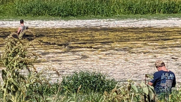 Man stuck in mud while dove hunting near Wood Duck - NORTHEAST - NEWS ...