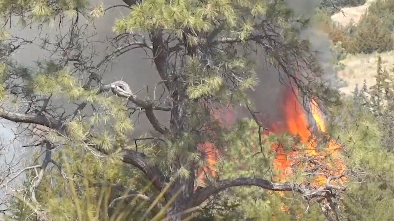 Nebraska governor enacts burn ban as Plum Creek Fire exposes drought ...